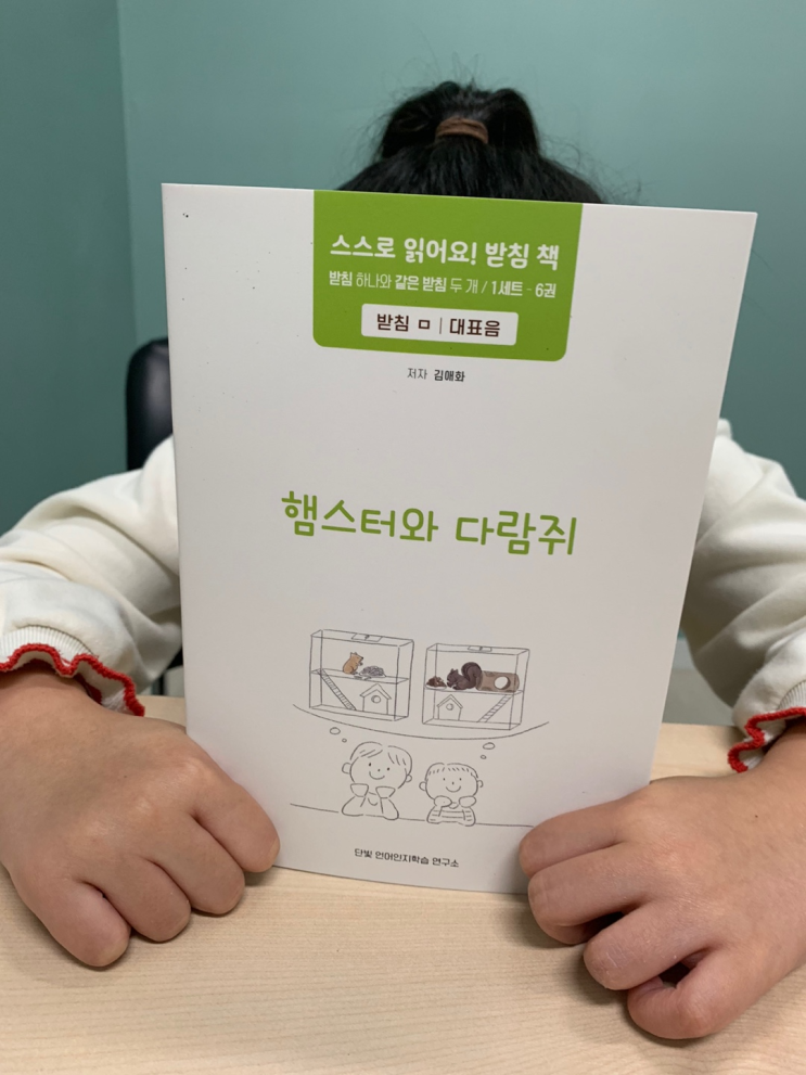 느린학습자경계선 지능 3차원 지원 3영역 지원 경기도 수원교육지원청과 단빛언어인지학습연구소 공동지원 사업 네이버 블로그