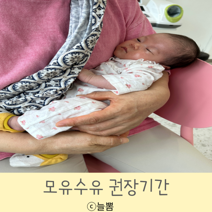 모유수유권장기간 완모 기간 뜻 언제까지 경험 공유 네이버 블로그