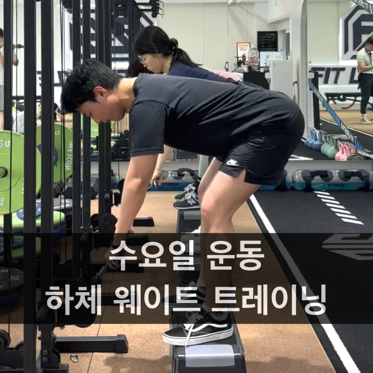 핏 라이프스타일 수요일운동 하체웨이트 하이바스쿼트 밴드사이드원레그레이즈 덤벨크로스런지 케이블스티프데드리프 장산역그룹