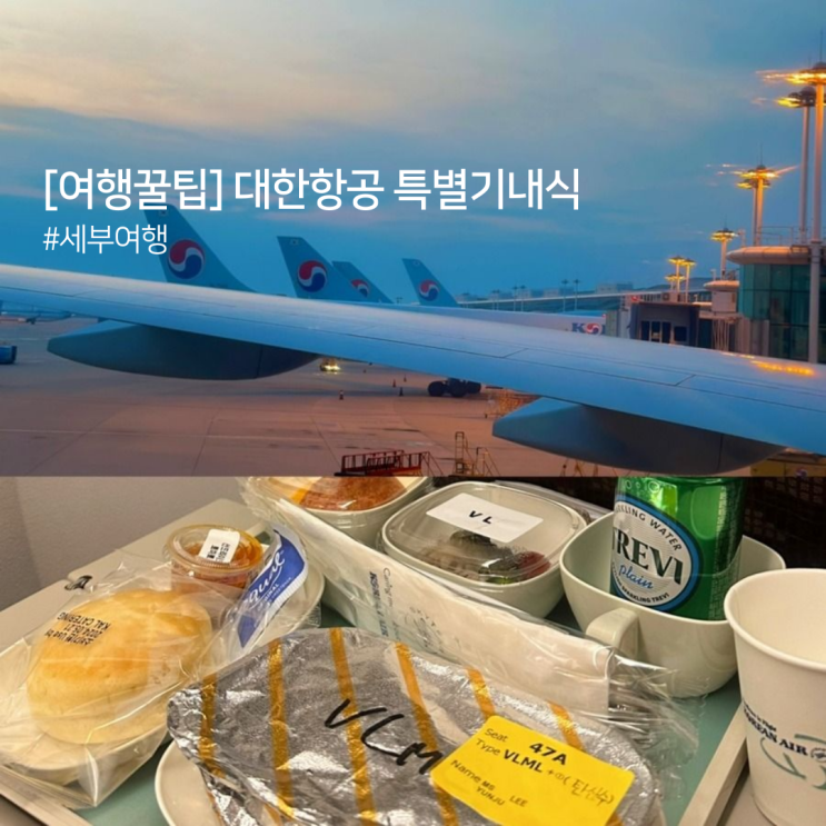 대한항공 세부 특별기내식 야채식 사전 신청 방법 후기 네이버 블로그