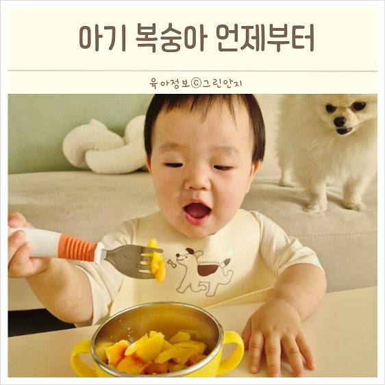 아기 복숭아 언제부터 먹는 시기 돌쇠네 농산물 신선복숭아 후숙방법 네이버 블로그