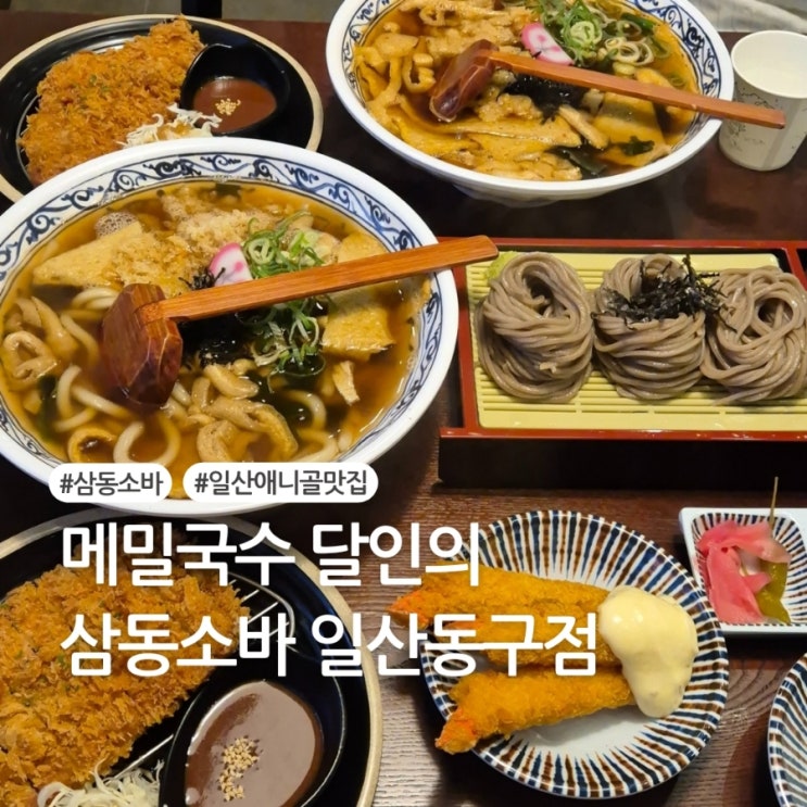일산 애니골 맛집 삼동소바 자가제면 소바의 정석 네이버 블로그