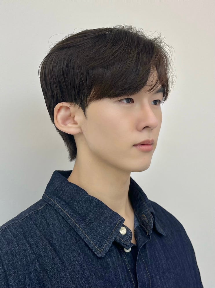 광화문역 미용실 파인트리 헤어살롱 남자 세미 리프컷 네이버 블로그