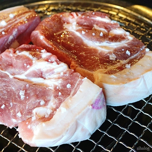 제주 성산 맛집 복자씨연탄구이 성산본점 흑돼지 근고기 최고다 네이버 블로그