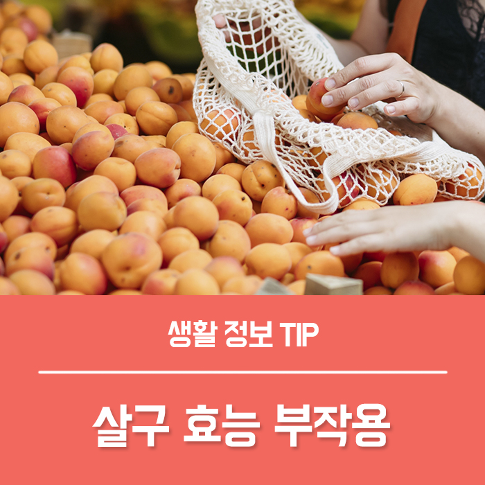 살구 효능 부작용 맛있는 살구 고르기 Tip 네이버 블로그