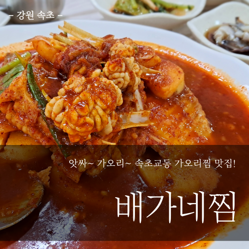 강원 속초 앗싸~ 가오리~ 속초 교동 가오리찜 맛집 배가네찜 네이버 블로그