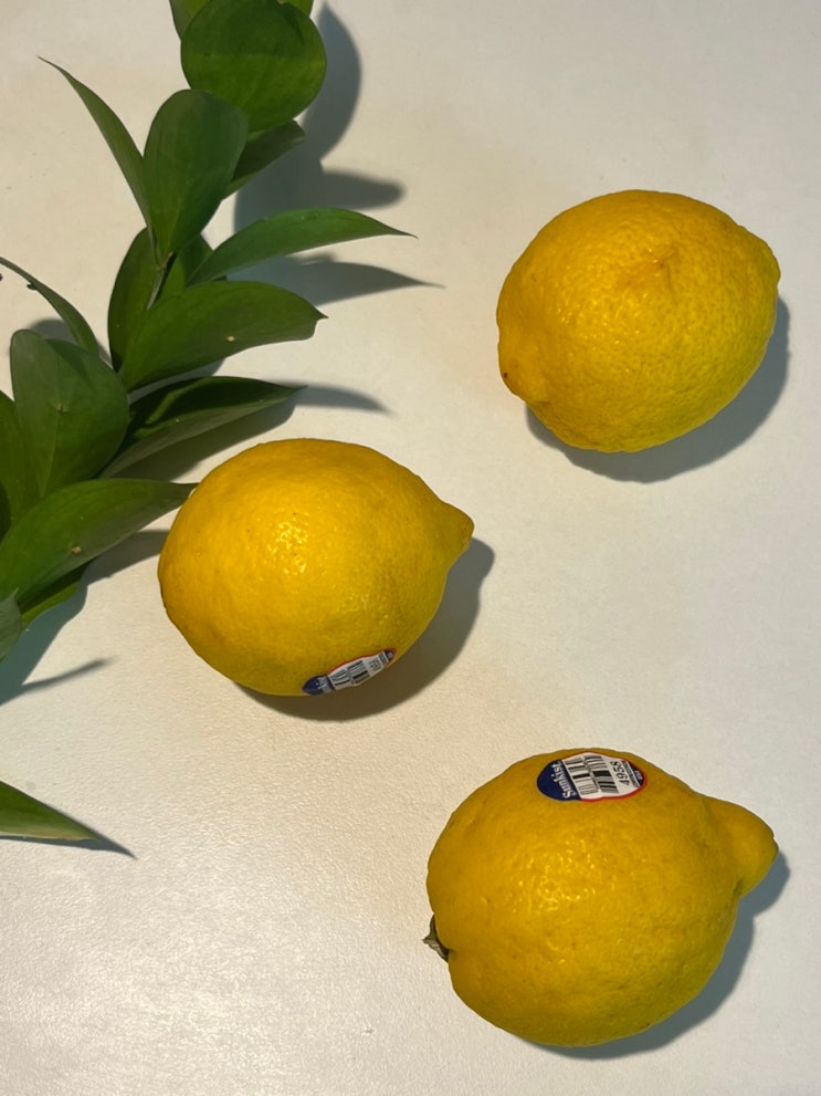 마시면 살빠진다는 레몬수 만들기. Lemon water : 네이버 블로그