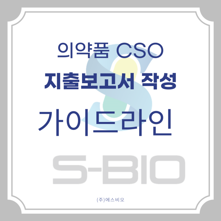 CSO 지출보고서 작성 가이드라인 : 네이버 블로그