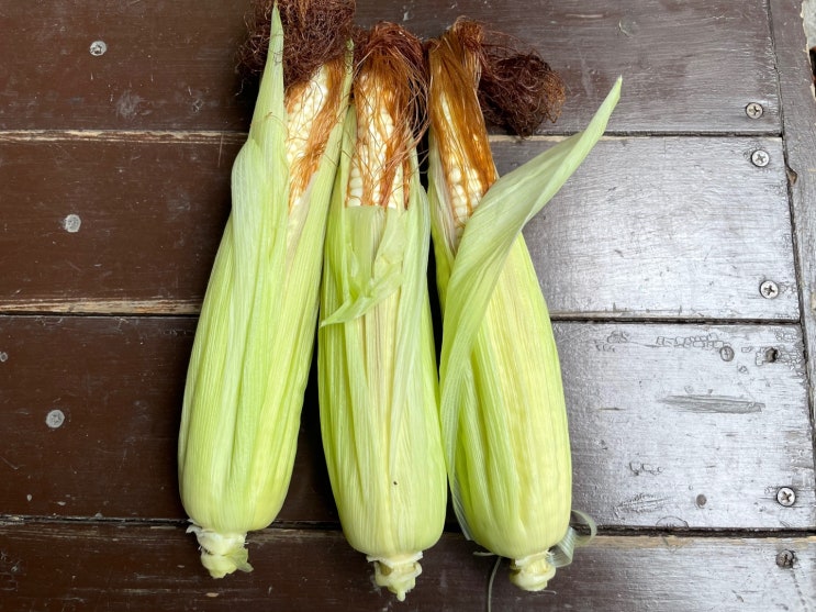 옥수수회동 : 네이버 블로그