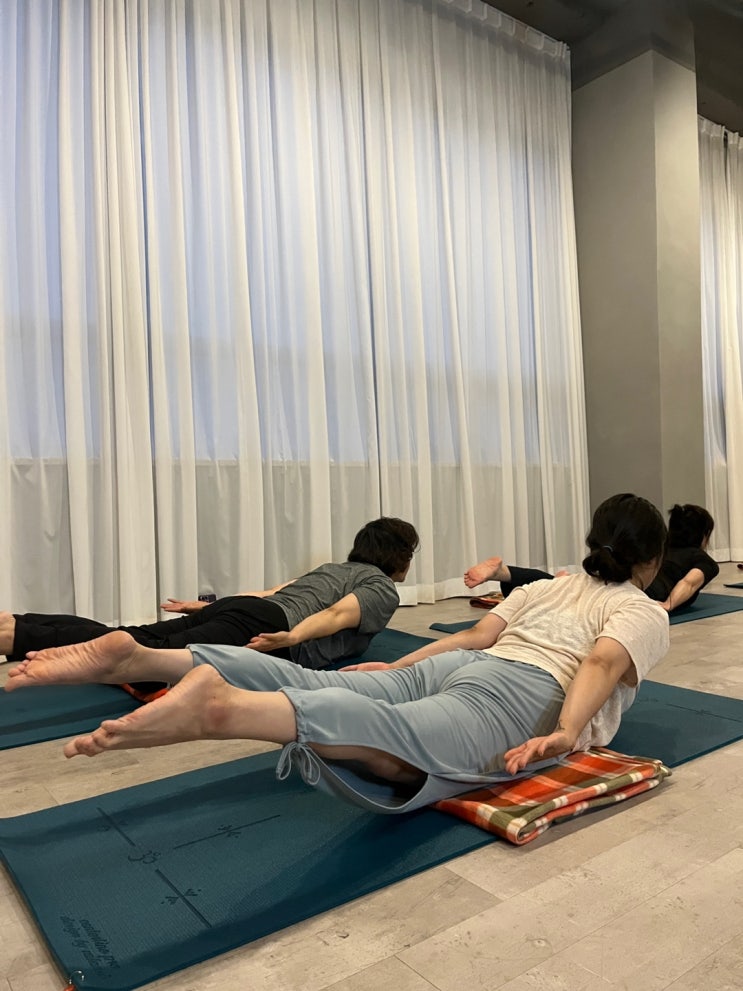 요가라인필라테스♡ 에볼루션플로우스프링보드 수업 의정부 요가 필라테스 낙양동 민락2지구 고산지구 네이버 블로그