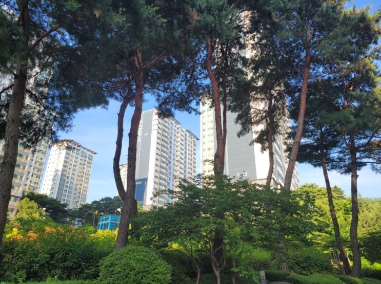 부동산 거래 시 계약금의 일부/가계약금 : 네이버 블로그