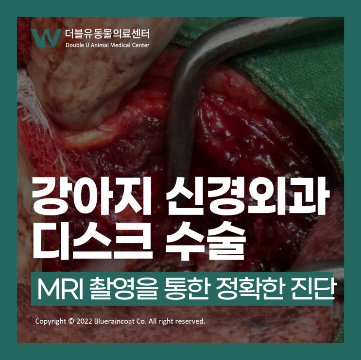 [청라더블유동물의료센터] 강아지 디스크(IVDD), MRI, 디스크 수술 : 네이버 블로그