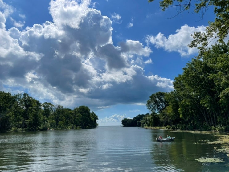 [미국유학] 20240706 Ford House #1 : 네이버 블로그