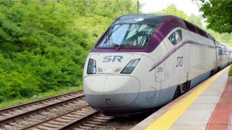 SRT 뜻과 승차권 영수증 출력 방법. 모바일 기준 : 네이버 블로그