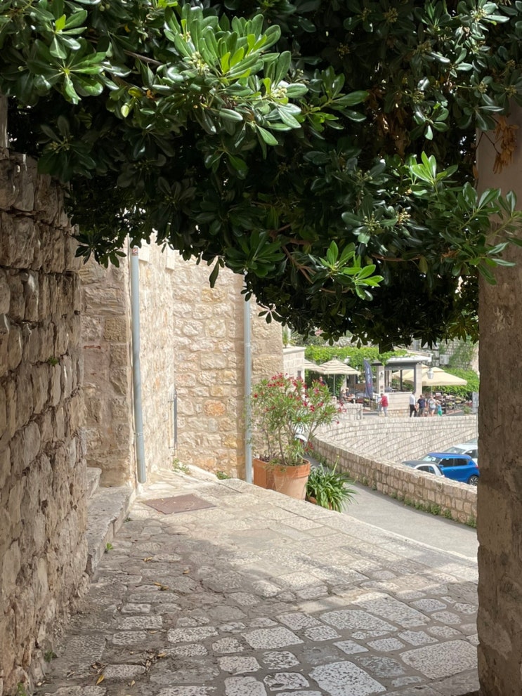 Day6-크로아티아 7박9일 혼자 여행🇭🇷💚 (흐바르, 두브로브니크) : 네이버 블로그