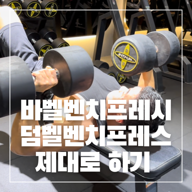 다산동헬스장 바벨 벤치프레스와 덤벨 벤치프레스 제대로 하기 네이버 블로그
