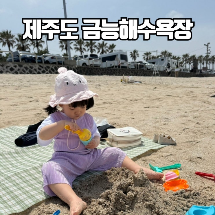 제주도 금능해수욕장 아이랑 모래놀이하기 좋은 바다 네이버 블로그