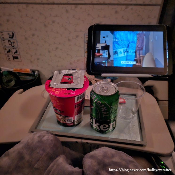 [파리] 샤를드골공항 2E 터미널 YOTEL 라운지에서 샤워, 대한항공 KE902 배시넷 좌석 후기 : 네이버 블로그