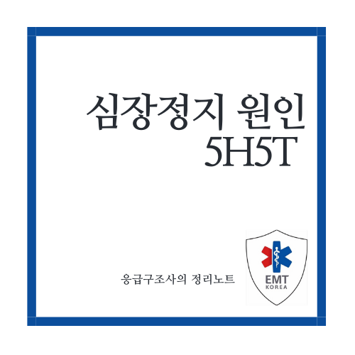 심장정지의 원인 "5H5T"란? : 네이버 블로그