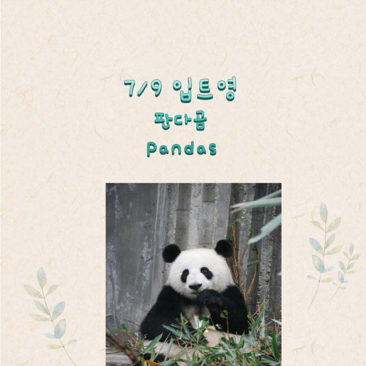 Pandas(7/9 입이 트이는 영어) : 네이버 블로그
