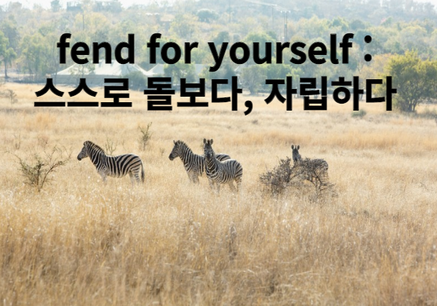 fend for yourself 스스로 돌보다 영어 회화 독학 : 네이버 블로그