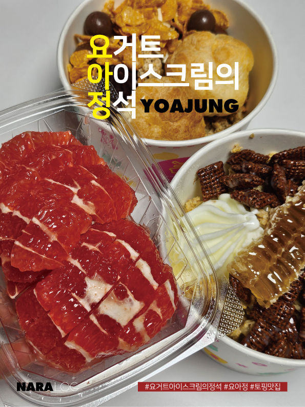 요아정 가격 안비싼 메뉴 추천 뜻 요거트 아이스크림의정석 칼로리 네이버 블로그