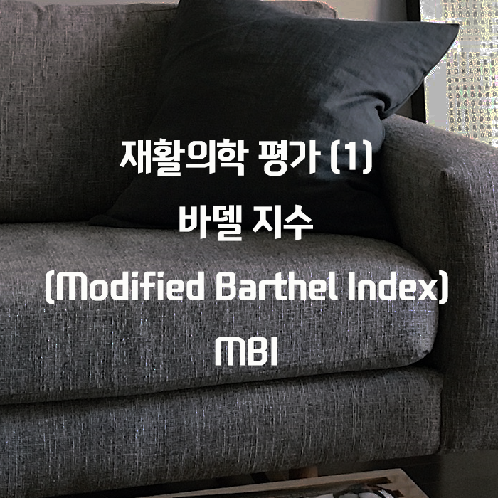재활의학 평가(1) - 바델 지수 (Modified Barthel Index, MBI) : 네이버 블로그