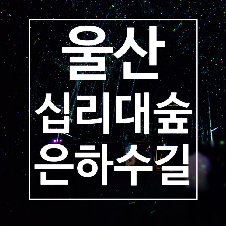 울산 태화강 국가정원 은하수길 밤의 매력에 흠뻑 빠지다 네이버 블로그