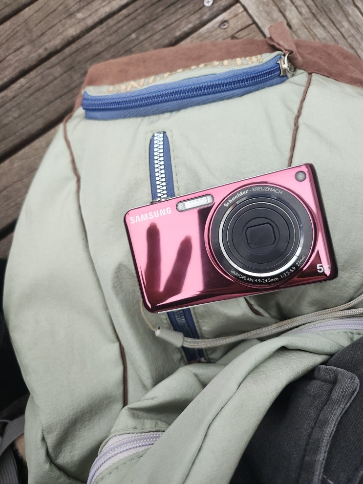 인생 첫 디카 구매한 날(한효주 디카, 삼성 vluu st600 핑크) : 네이버 블로그