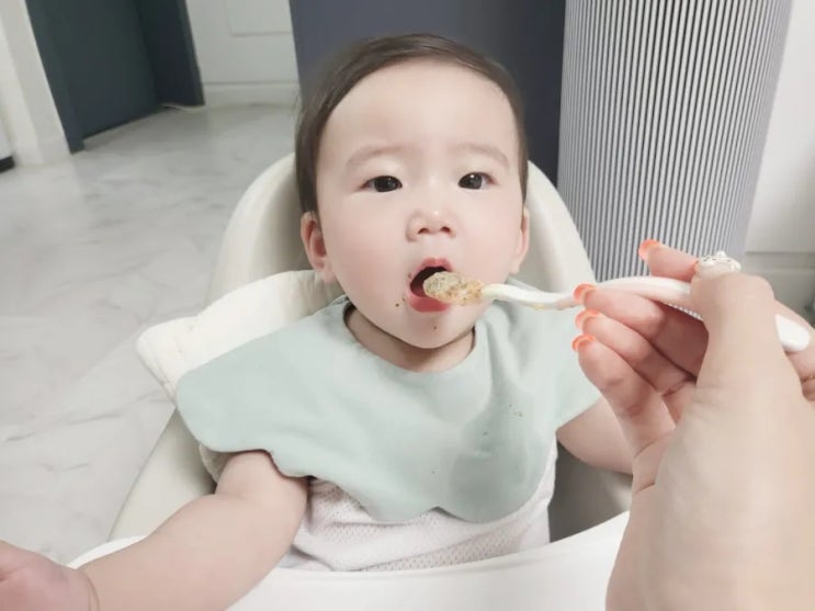 엘빈즈 중기이유식 무료체험 신청방법 한우배추죽 소비기한 입자감 네이버 블로그