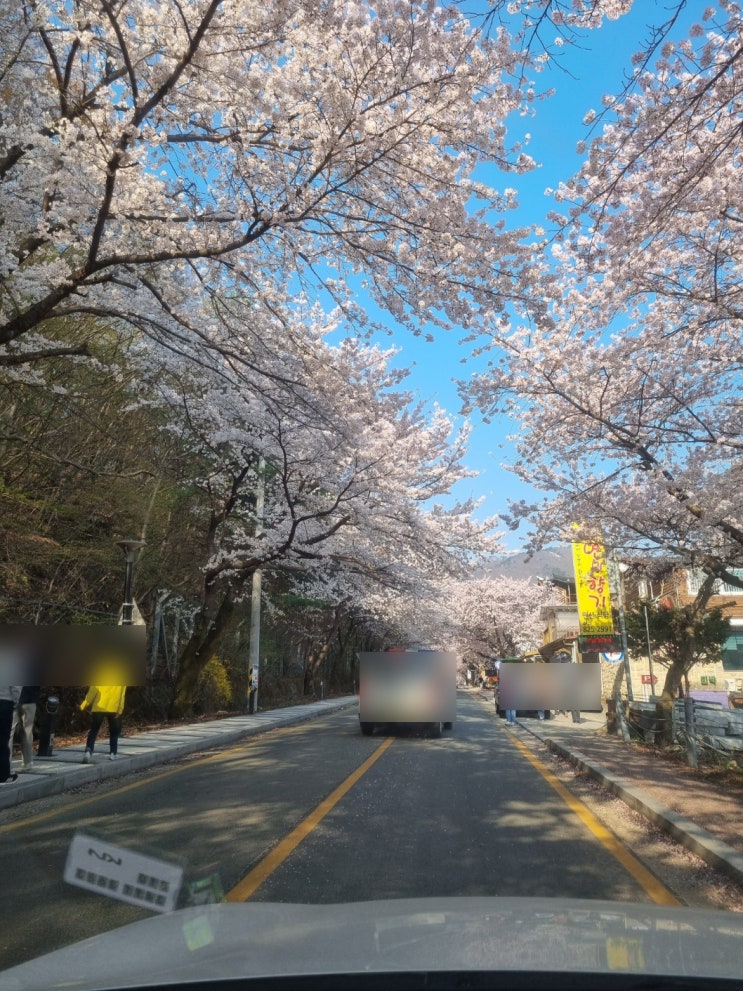 계룡산펜션 자연경관이 수려한 계곡앞 공주펜션 미강펜션 네이버 블로그