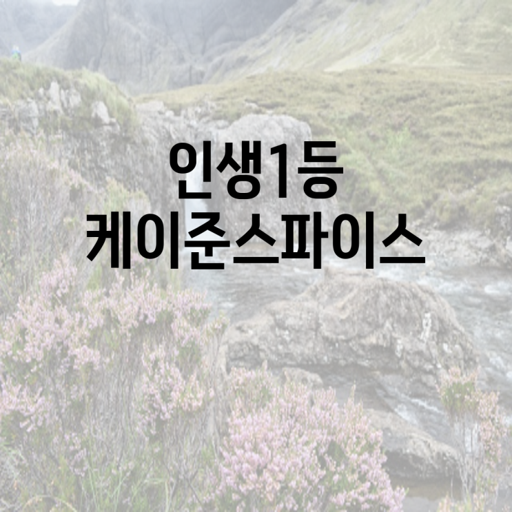 케이준 스파이스 마스터가 뽑은 5가지 인생템 비교 분석 선택 가이드 : 네이버 블로그