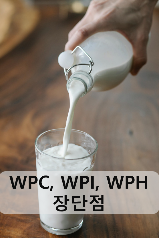 WPI, WPC, WPH 단백질보충제 장단점 헬스장 프로틴 : 네이버 블로그