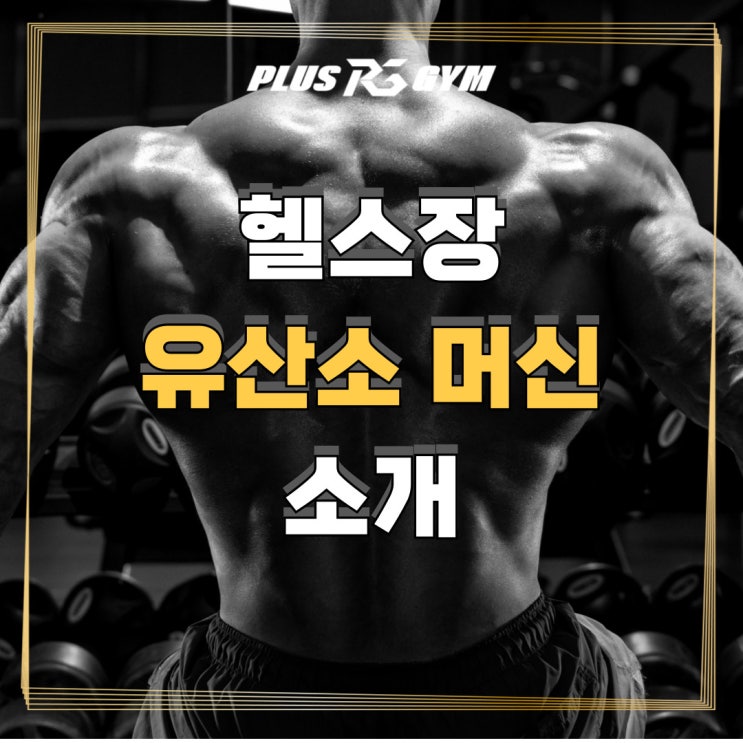 헬스장 유산소 운동기구 머신 소개 ㅣ 트레드밀 천국의계단 마이마운틴 아크트레이너 연산동 토곡 헬스 Pt 플러스휘트니스 네이버 블로그