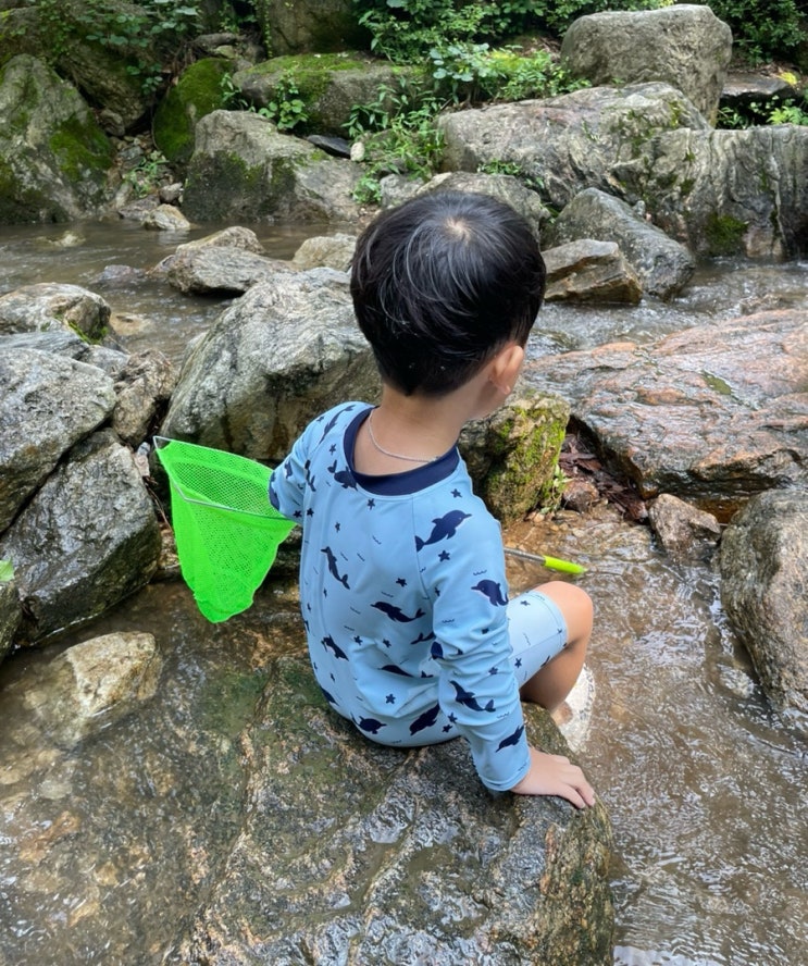 용인 자연휴양림 아이랑 계곡 매점 이용후기 네이버 블로그