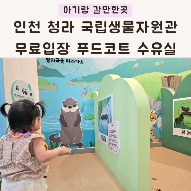 인천 아기랑 실내 갈만한곳 청라 국립생물자원관 식당 수유실 네이버 블로그