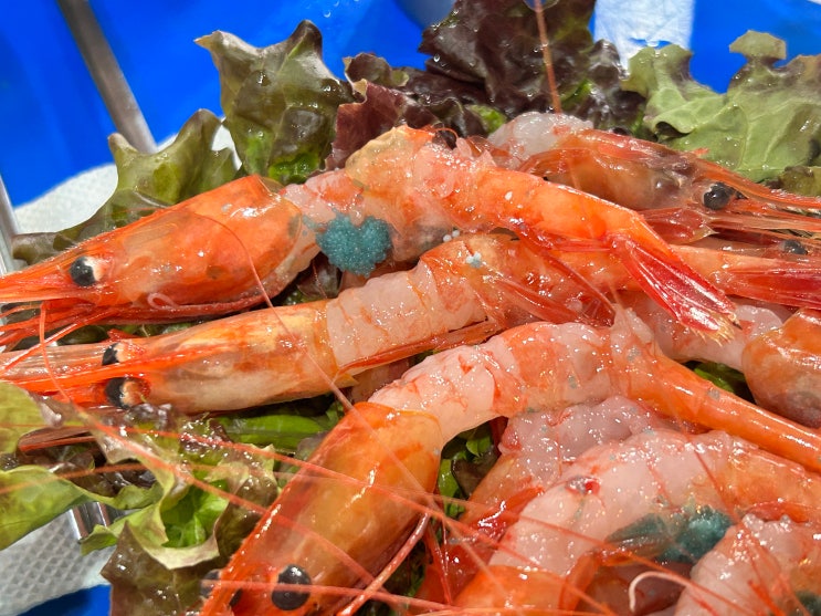 서울종로 꼴뚜기회 홍새우회가 맛있는 서촌계단집 네이버 블로그