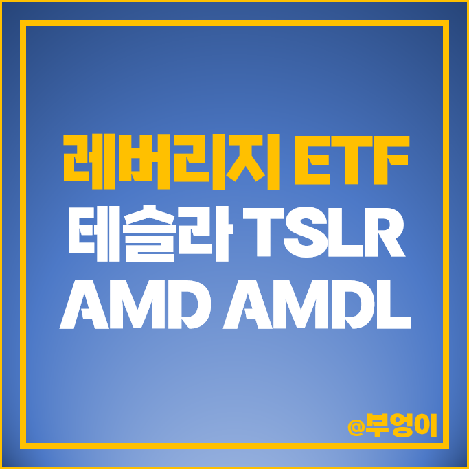 AMD 주식 테슬라 관련주 레버리지 미국 ETF 투자 방법 AMDL TSLR 주가 : 네이버 블로그
