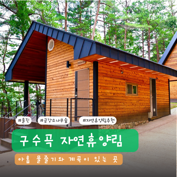 경북 울진 가볼 만한 곳 구수계곡 근처 구수곡 자연휴양림 느티나무 1호 숙박 네이버 블로그