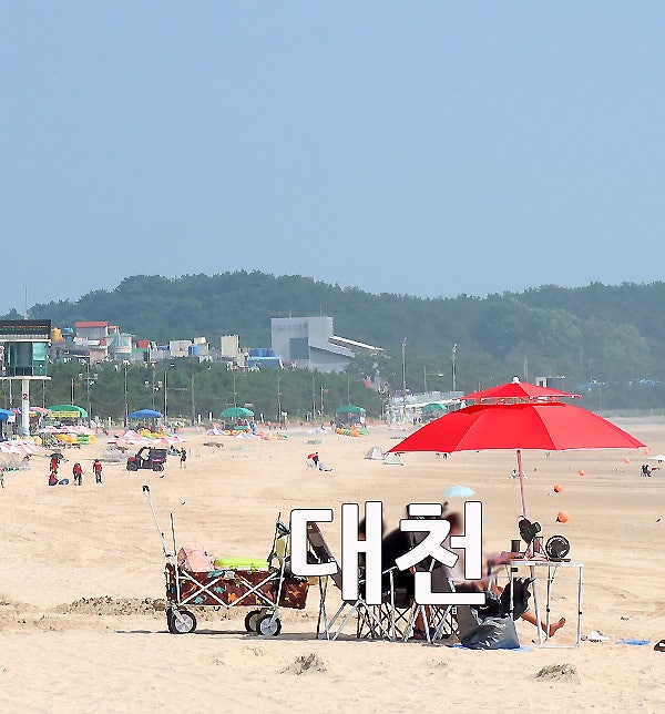 대천 해수욕장 놀거리 대천 스카이바이크 레일바이크 네이버 블로그