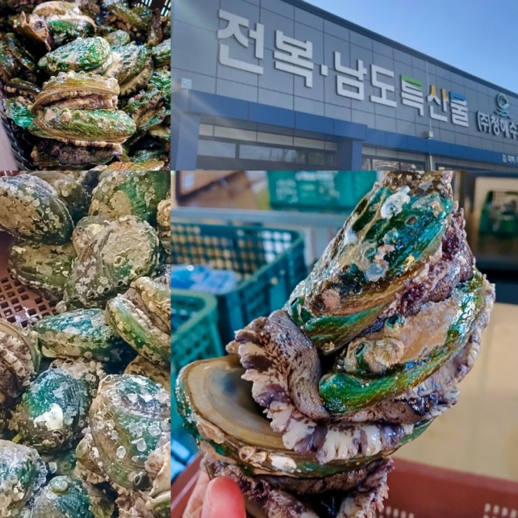 진도여행 코스 가볼만한곳 특산품 진도 전복 파는곳 추천 청해전복수산 후기 네이버 블로그