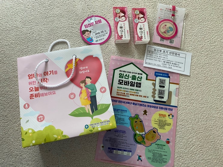 천안 서북구 보건소 임산부 등록 필요 서류 임신 초기 검사 무료 지원 솔직 후기 네이버 블로그