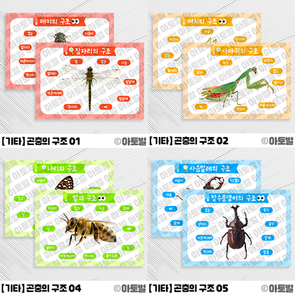 어린이집 곤충의 구조 알아보기 곤충 놀이 도안 곤충 프로젝트 곤충 사진 도안 곤충 포스터 다양한 곤충 사진 곤충