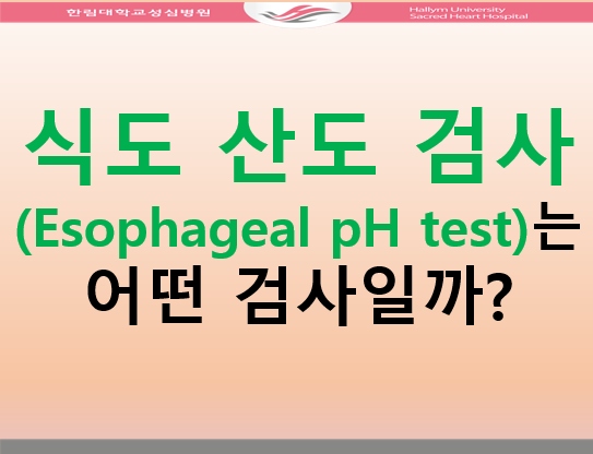 [검사] 식도산도 검사(Esophageal pH Test) : 네이버 블로그