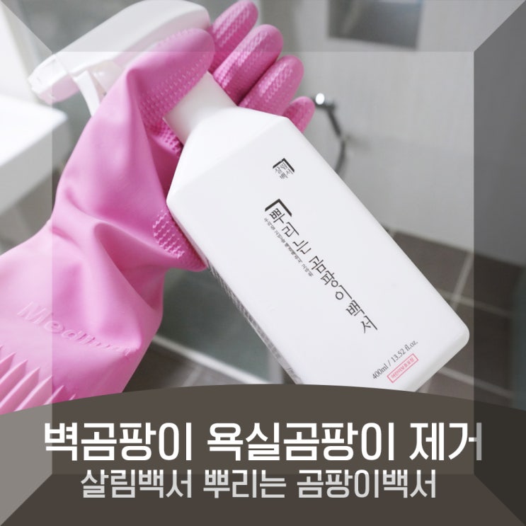 벽곰팡이 화장실 욕실 곰팡이제거제 벽지 변기 청소 살림백서 네이버 블로그