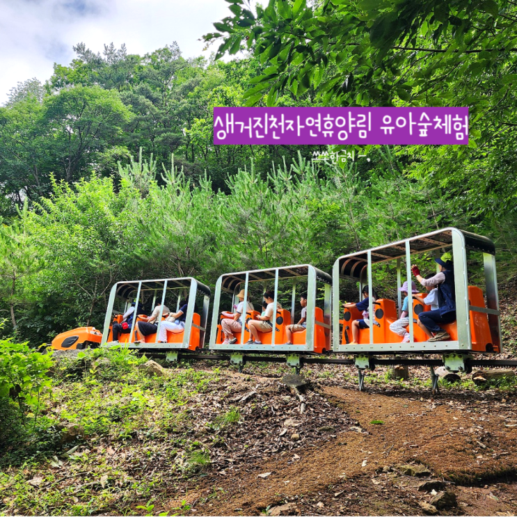 충북 진천 아이와 생거진천자연휴양림 유아숲체험 예약방법 모노레일 네이버 블로그