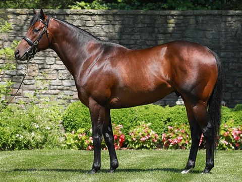 Echo Town : 네이버 블로그