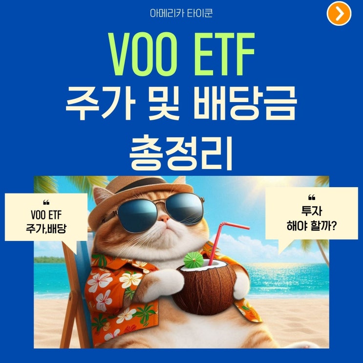 VOO ETF 주가 배당금 배당일 총정리 : 네이버 블로그
