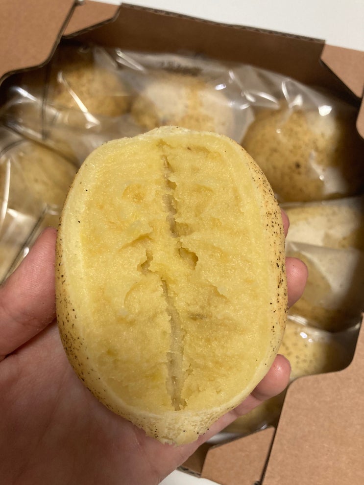 광주 롯데 백화점 지하1층 푸드코트 팝업 스토어 춘천 감자밭 감자빵 후기 네이버 블로그
