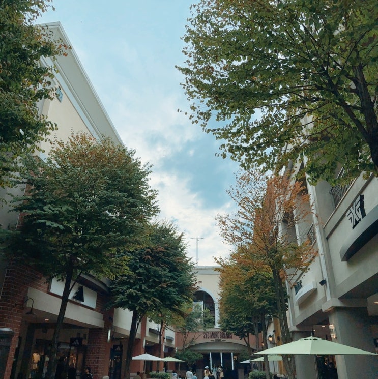 파주 신세계 프리미엄 아울렛 식당 아웃백스테이크하우스 네이버 블로그